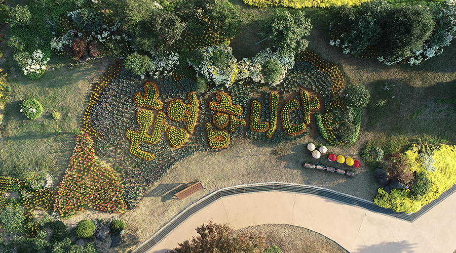 거제관광문화 즐거운축제 > 거제섬꽃축제 > 상세보기